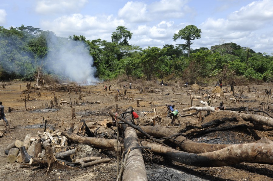 This is My Back Yard (TIMBY) - Making All Voices Count - This is My Back Yard (TIMBY) - Making ...